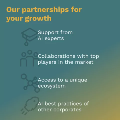 Partnership Programs